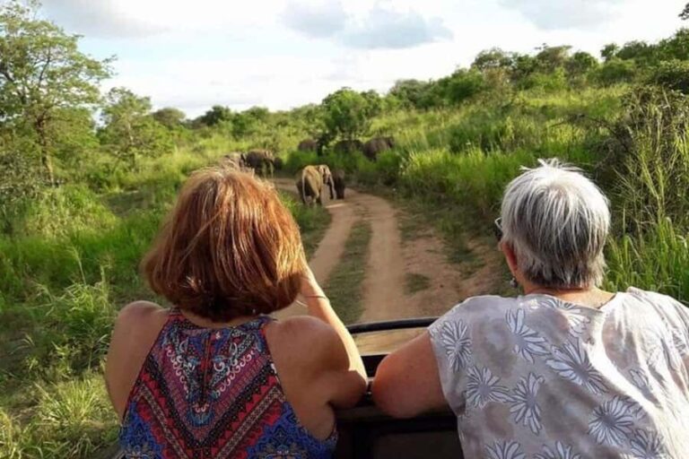 From Riu Hotel: Udawalawe National Park Private Day Trip - Who Will Love This Tour?