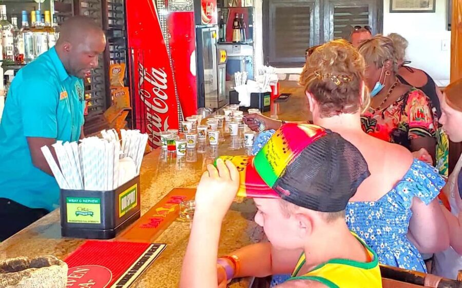 From Runaway Bay: Bob Marley Mausoleum Guided Day Trip - Exploring Nine Mile and Bob Marley’s Roots