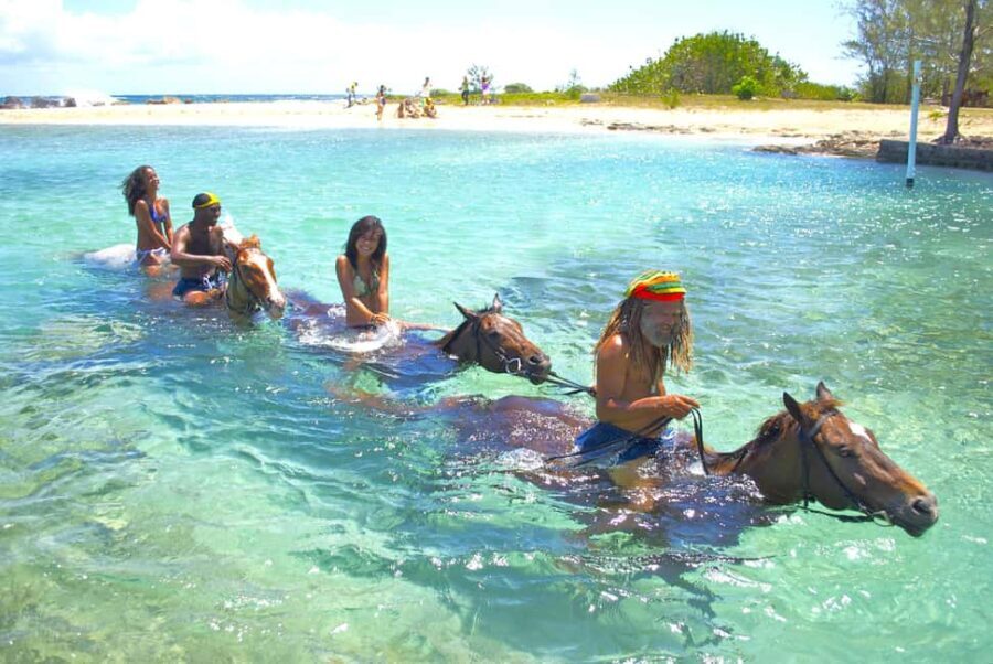 From Runaway Bay: Horseback Ride and Swim Countryside Tour - A Closer Look at the Experience