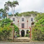 From Saint James/Christ Church: The Story Of Rum Tour - Who Should Consider This Tour?