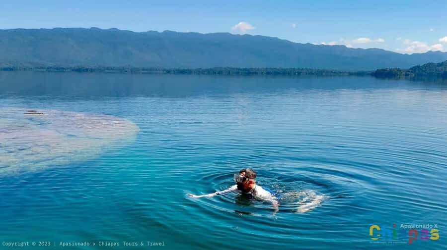 From San Cristóbal: Miramar Lagoon Hidden Paradise - What You Can Expect in Detail