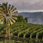 From San Diego Temecula Wine Country Tour - Detailed Review of the San Diego Temecula Wine Country Tour