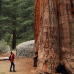 From San Francisco: Redwoods, Coast, and Sausalito Tour - Key Points