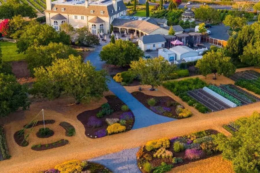 From San Francisco: Redwoods Tour and Gourmet Lunch and Wine - Visiting Kendall-Jackson and the Culinary Garden