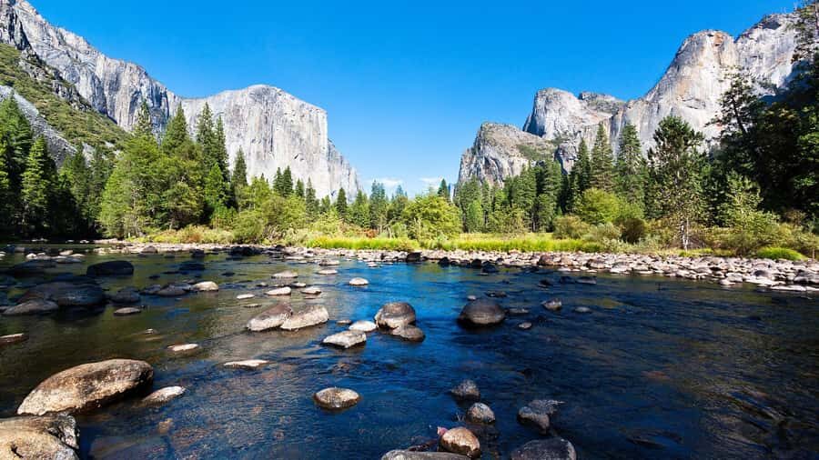 From San Francisco: Yosemite National Park Guided Day Trip - Transportation & Comfort