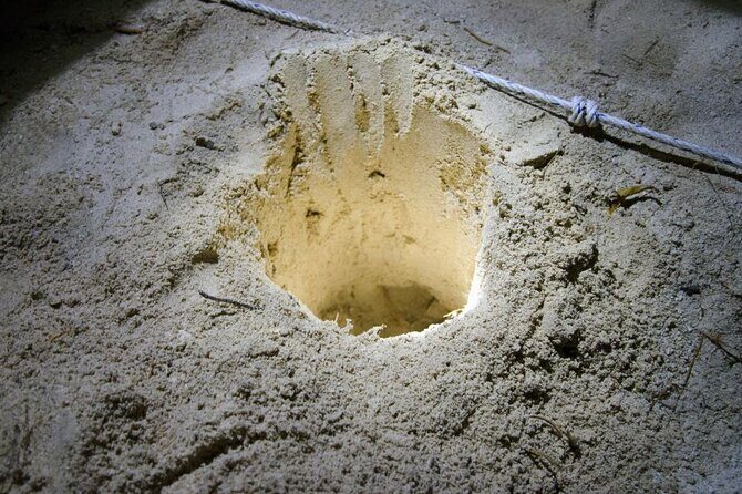 From Sandakan: 2D1N Turtle Island & Sepilok Wildlife Experience - Who Will Enjoy This Tour?