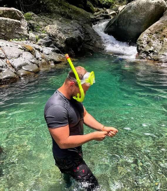 From Santo Domingo: Hiking and Hidden River Tour in Bonao - The Forest Hike: Exploring Dominican Flora