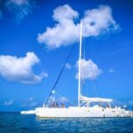 From Santo Domingo Saona Island Catamaran Tour with Lunch & Bar - Final Thoughts: Is This Tour Worth It?
