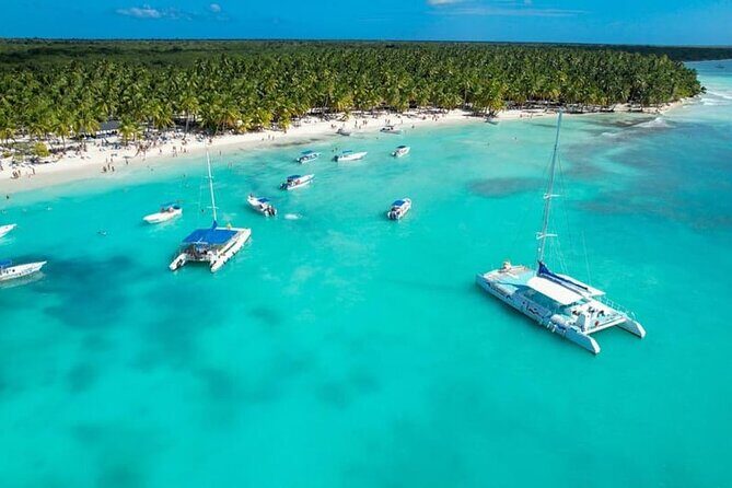 From Santo Domingo Saona Island Food And Drink Catamaran Vip - Real Experiences: Authentic Perspectives from Travelers
