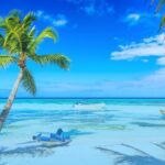 From Santo Domingo: Saona Island For Small Group Catamaran - Who Will Love This Tour?