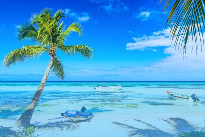 From Santo Domingo: Saona Island For Small Group Catamaran - Who Will Love This Tour?