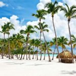 From Santo Domingo: Saona Island Tour with Lunch & Drinks - Why This Tour Offers Solid Value