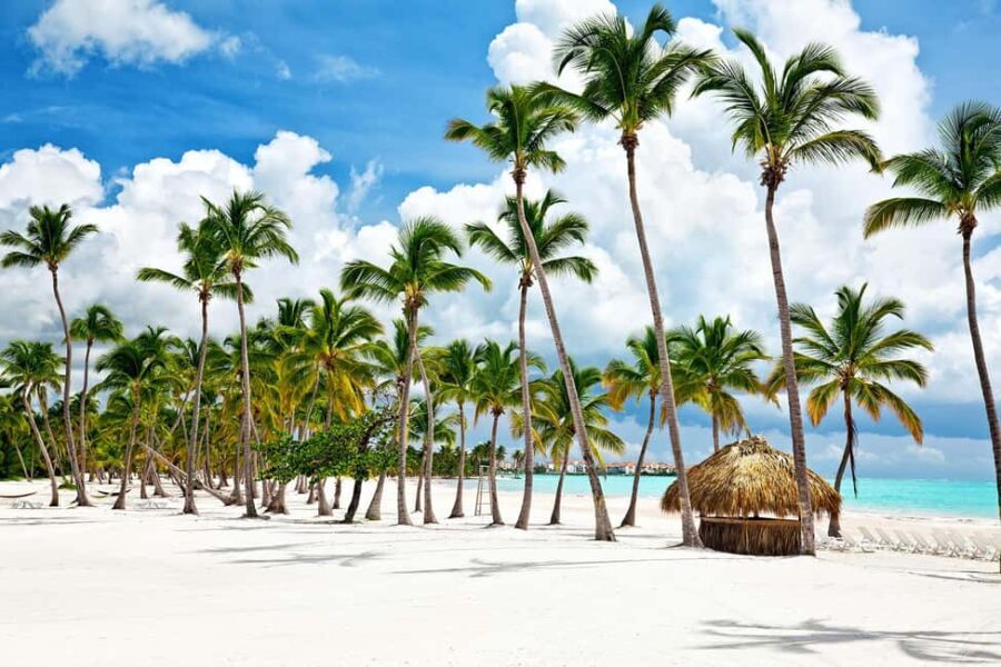 From Santo Domingo: Saona Island Tour with Lunch & Drinks - Why This Tour Offers Solid Value