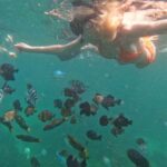 From Sanur : Snorkeling and Land Excursion at Nusa Penida - What Travelers Can Expect