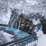 From Sapporo: Asahiyama Zoo, Waterfall & Blue Pond Tour - Practical Considerations and What to Bring