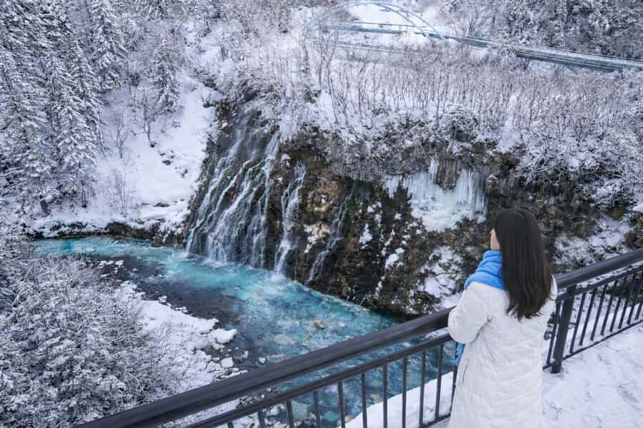 From Sapporo: Asahiyama Zoo, Waterfall & Blue Pond Tour - Practical Considerations and What to Bring