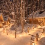 From Sapporo: Biei, Furano or Asahikawa Private Day Trip - Who Should Consider This Tour?