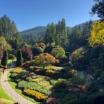 From Seattle: Day Trip by High Speed Ferry to Victoria, BC - Authentic Feedback from Travelers