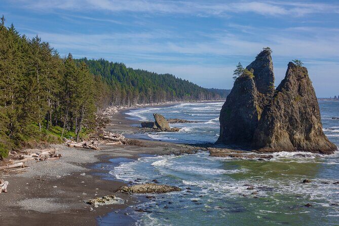 From Seattle Private Hoh Rain Forest and Rialto Beach Tour - The Itinerary: A Carefully Curated Day of Discovery