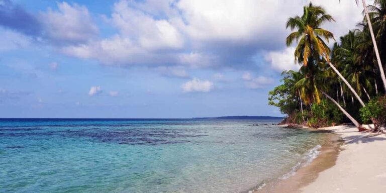 FROM SEMARANG : KARIMUNJAWA ISLAND TOUR - Overview of the Tour Experience