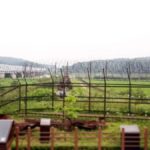 From Seoul: DMZ Group Tour with a French-Speaking Guide - Exploring the Highlights