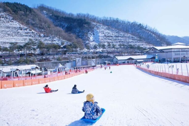 From Seoul: Elysian Ski Resort One Day Tour - Exploring the Itinerary in Detail