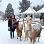 From Seoul: Eobi Ice Valley & Nami Island Day Trip - What Makes This Tour Stand Out