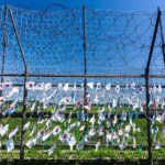 From Seoul Essential Private DMZ Tour - Key Points