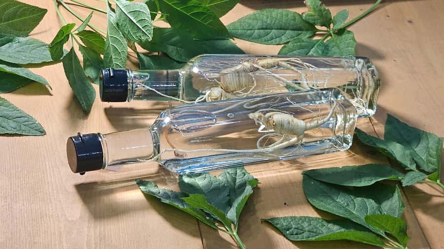 From Seoul: Make Your Own Chilli Paste & Ginseng Liquor Tour - What Makes This Tour Special?