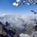 From Shanghai: Huangshan Private Day Trip by High-Speed Rail - Authenticity and Experience