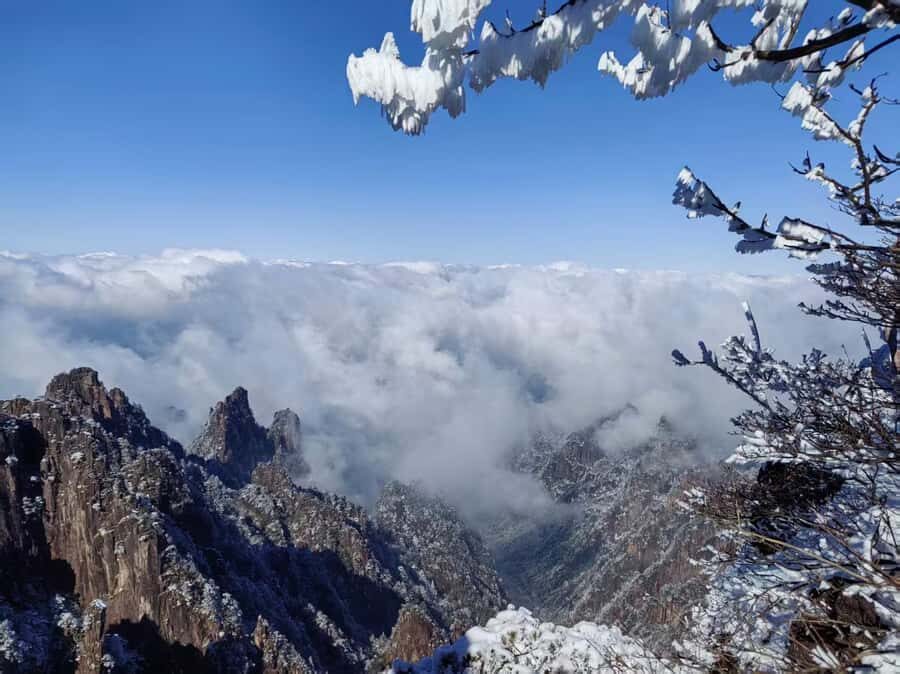 From Shanghai: Huangshan Private Day Trip by High-Speed Rail - Authenticity and Experience