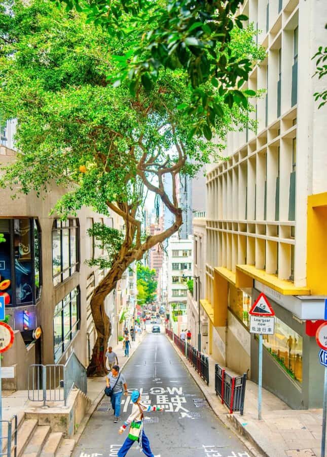 From Shenzhen: Hong Kong Heritage, Skyline & Harbour View - FAQ