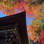 From Shinjuku:Mt.Takao Hike,Temple & Onsen with Samurai Guide Sho - The Complete Experience: From Tokyo to Mount Takao