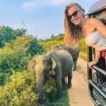 From Sigiriya: Minneriya National Park Eco Jeep Safari - What Makes This Safari Stand Out