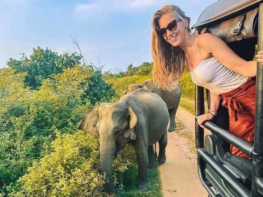 From Sigiriya: Minneriya National Park Eco Jeep Safari - What Makes This Safari Stand Out