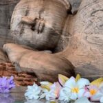 From Sigiriya: Polonnaruwa Day Tour with Minneriya Safari - A Full Breakdown: What to Expect on the Tour