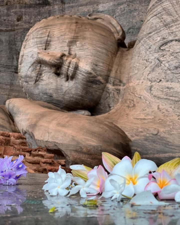 From Sigiriya: Polonnaruwa Day Tour with Minneriya Safari - A Full Breakdown: What to Expect on the Tour