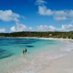 From St John's: Half Moon Bay Beach Half-Day Trip by Van - The Perfect Short Escape: What the Tour Offers