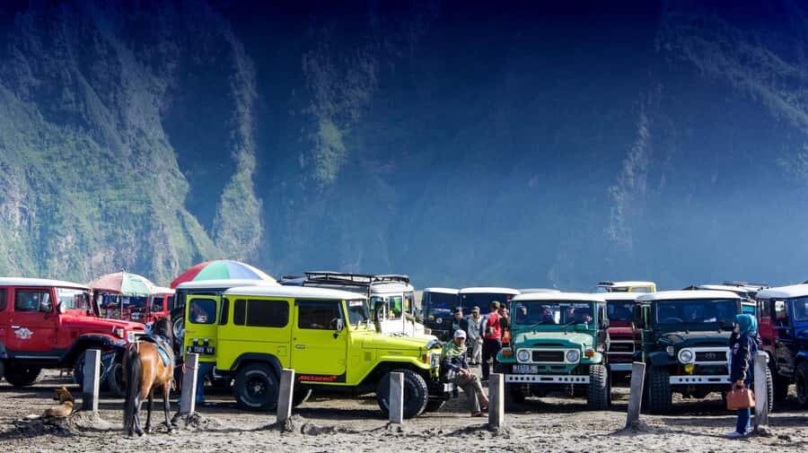 FROM SURABAYA OR MALANG: PEKALEN RAFTING AND BROMO SUNRISE. - Value and Pricing