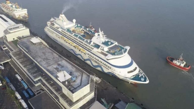 From Surabaya Port: Archeological Trowulan Cruise Tour - Practical Details & What to Expect