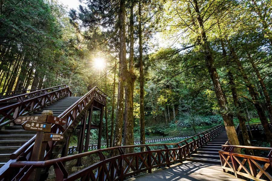 From Taipei: Alishan 2 Days Private Tour - What Makes This Tour Special?
