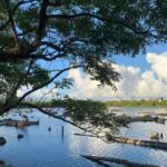 From Taipei to Yilan: Stories of Art, Nature, and Local Life - The Chumi Farm Experience: Making Green Onion Bread