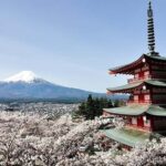 From Tokyo: Early Morning Mt. Fuji Small-Group Tour - Who Should Consider This Tour?