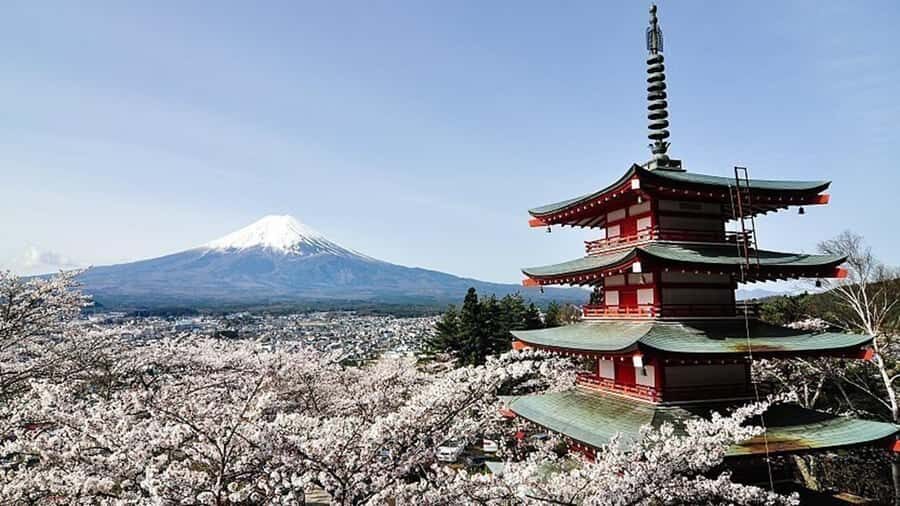From Tokyo: Early Morning Mt. Fuji Small-Group Tour - Who Should Consider This Tour?
