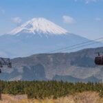 From Tokyo: Hakone and Owakudani Private Day Trip - The Itinerary: What’s Included and What to Expect