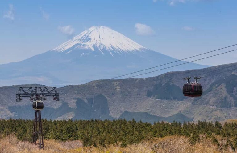 From Tokyo: Hakone and Owakudani Private Day Trip - The Itinerary: What’s Included and What to Expect