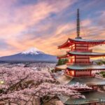 From Tokyo/Hakone/Fuji: Hakone & Mt. Fuji Day Trip w/Pickup - What to Expect and Practical Considerations