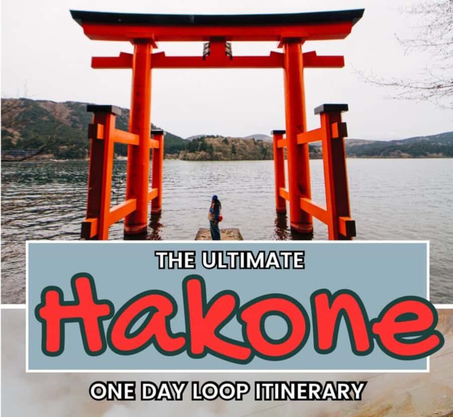 From Tokyo: Hakone Private Tour with English-Speaking Guide - Who Will Love This Tour?