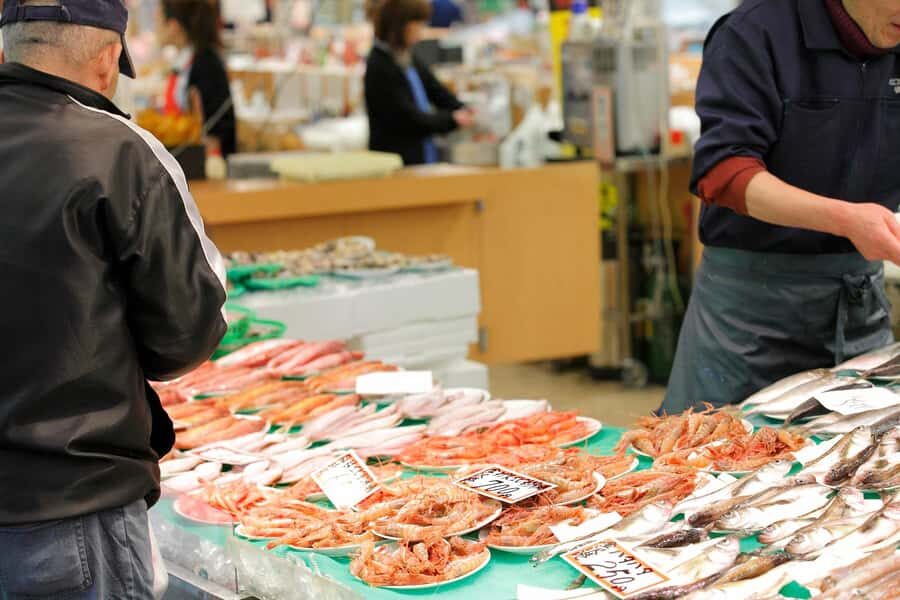 From Tokyo: Hitachi Seaside Park, Sea Torii & Great Buddha - Practical Details and Tips