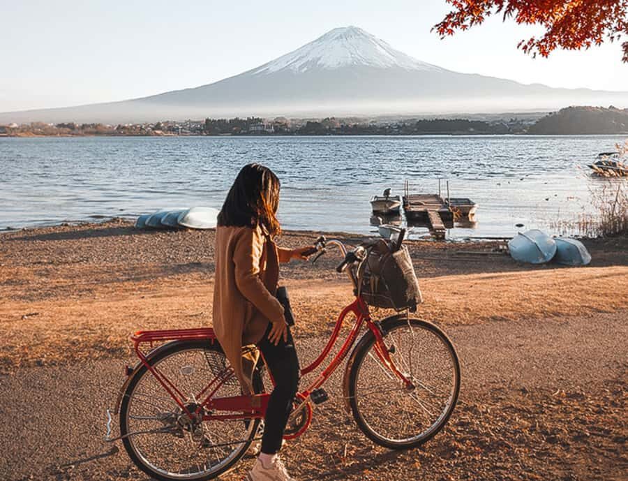 From Tokyo: Mount Fuji and Hakone Customizable Private Tour - The Itinerary: What You Can Expect